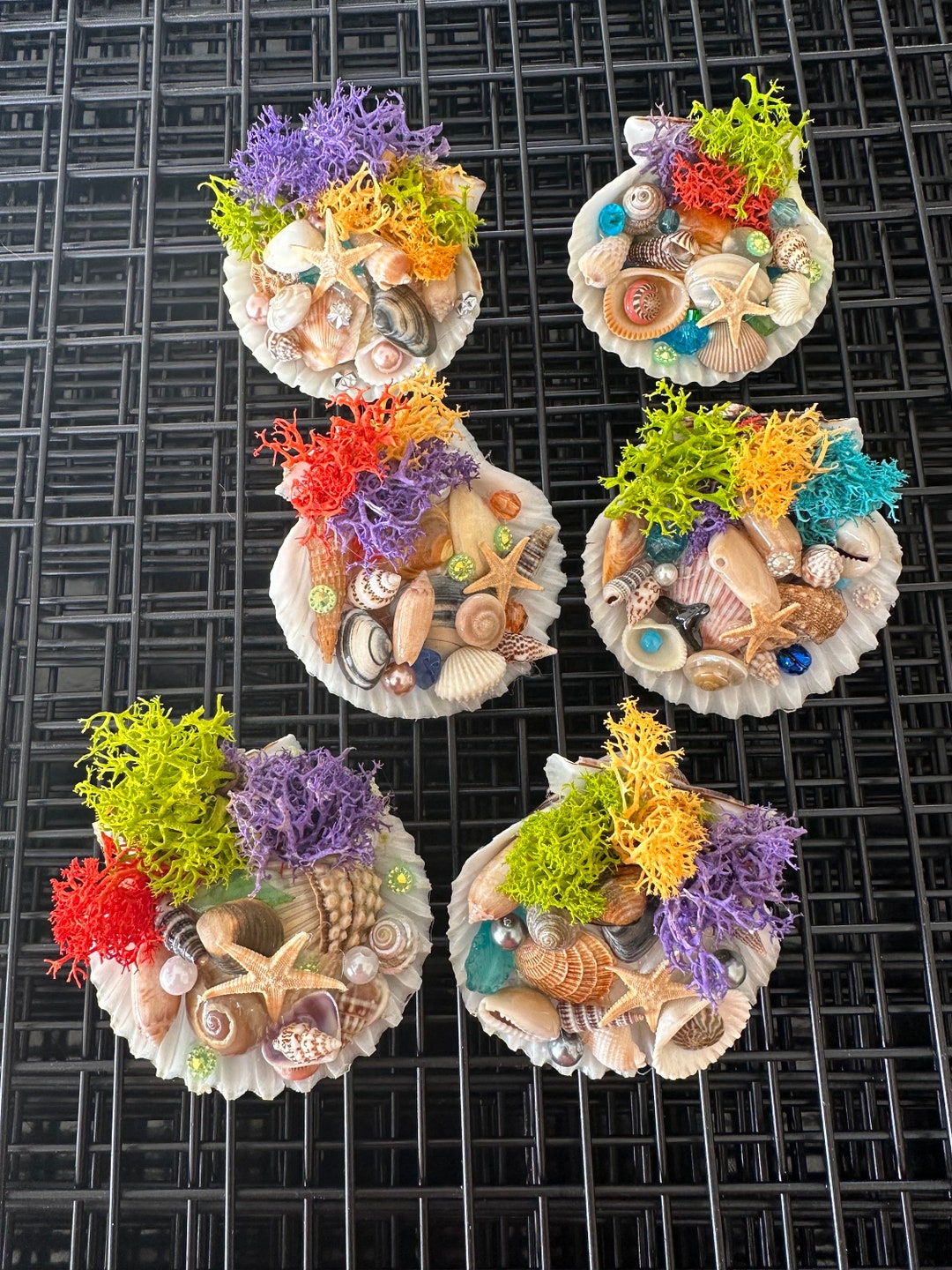 Seashell Magnets, Shell Decorations, Souvenirs, Gifts, Beach Decor ...