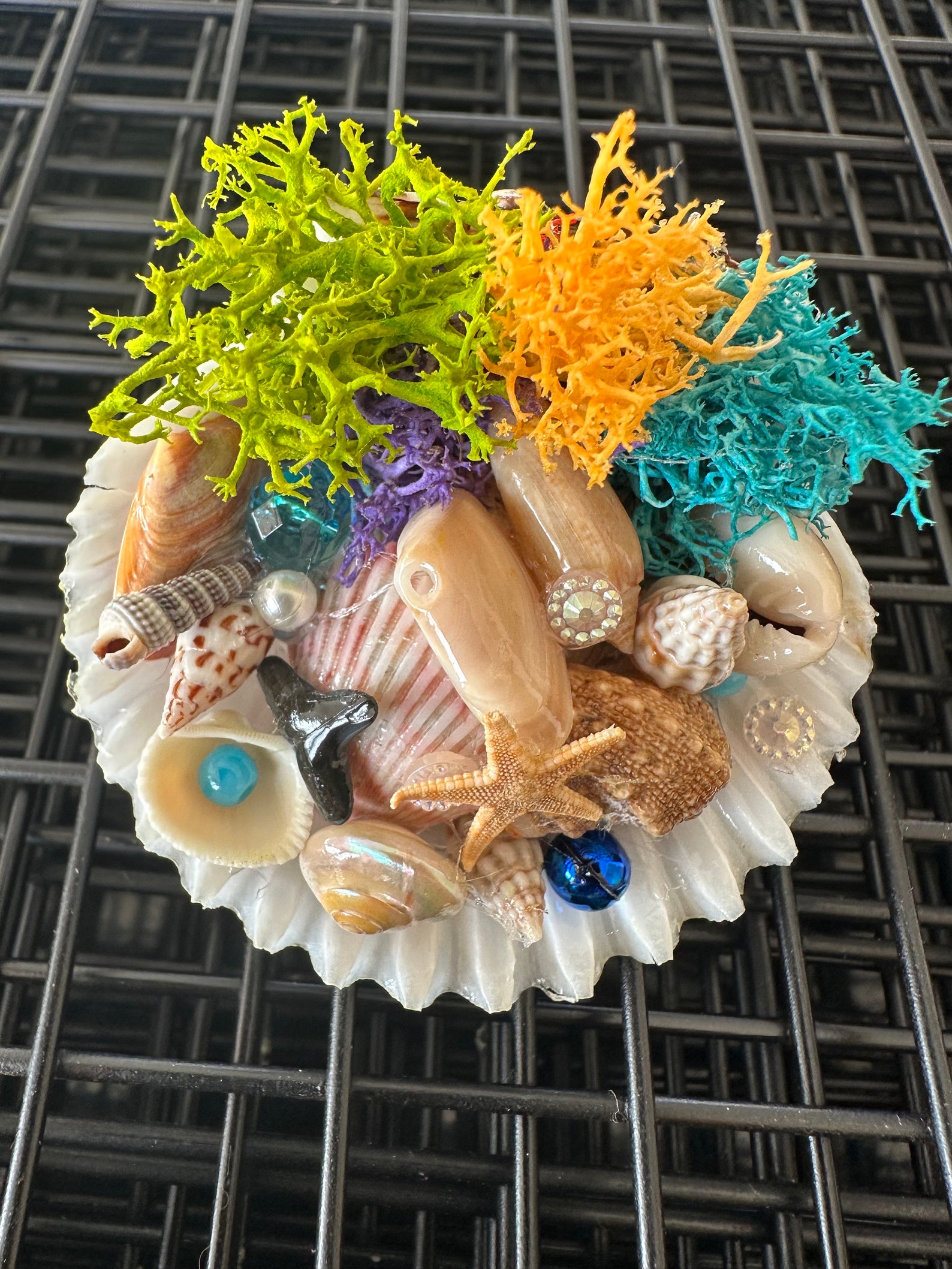 Seashell Magnets, Shell Decorations, Souvenirs, Gifts, Beach Decor ...