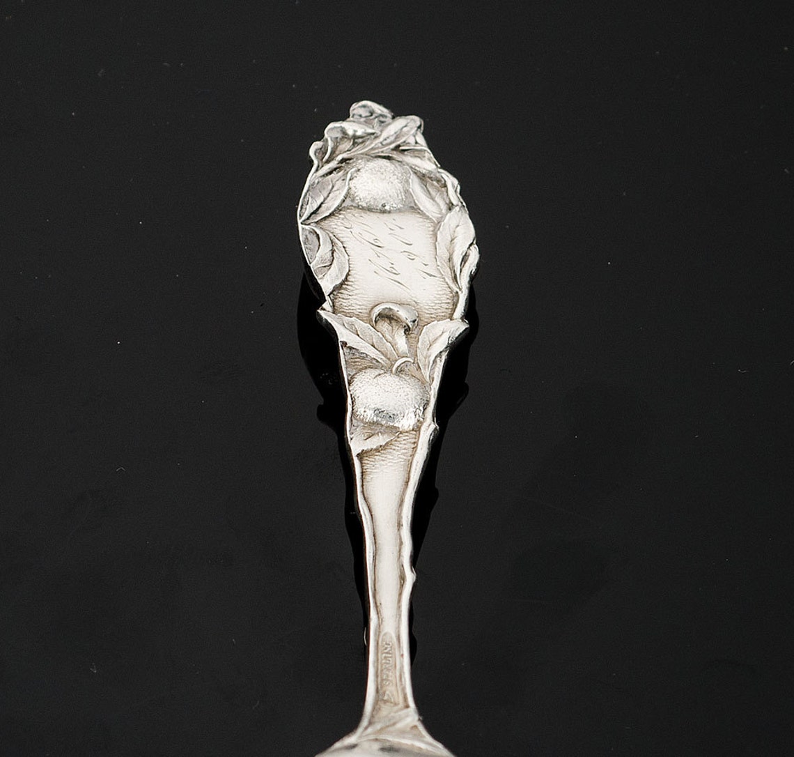 Watson Sterling Fruit Series Teaspoon Orange Pattern 6 | Etsy