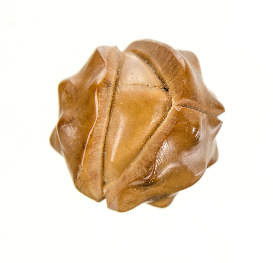 Carved Vegetable Ivory Figural Chestnut Antique - Etsy