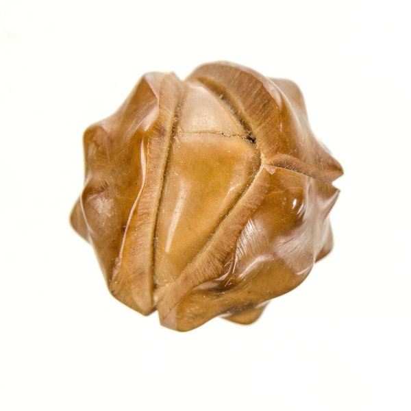 Vegetable Ivory - Etsy