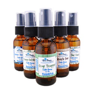 Crap Trapper Toilet Spray, Gag Gift Stocking Stuffer - Etsy