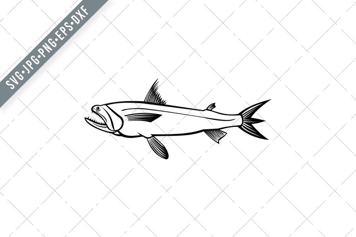 Bombay Duck Fish Harpadon Nehereus Bummalo Bombil Boomla - Etsy