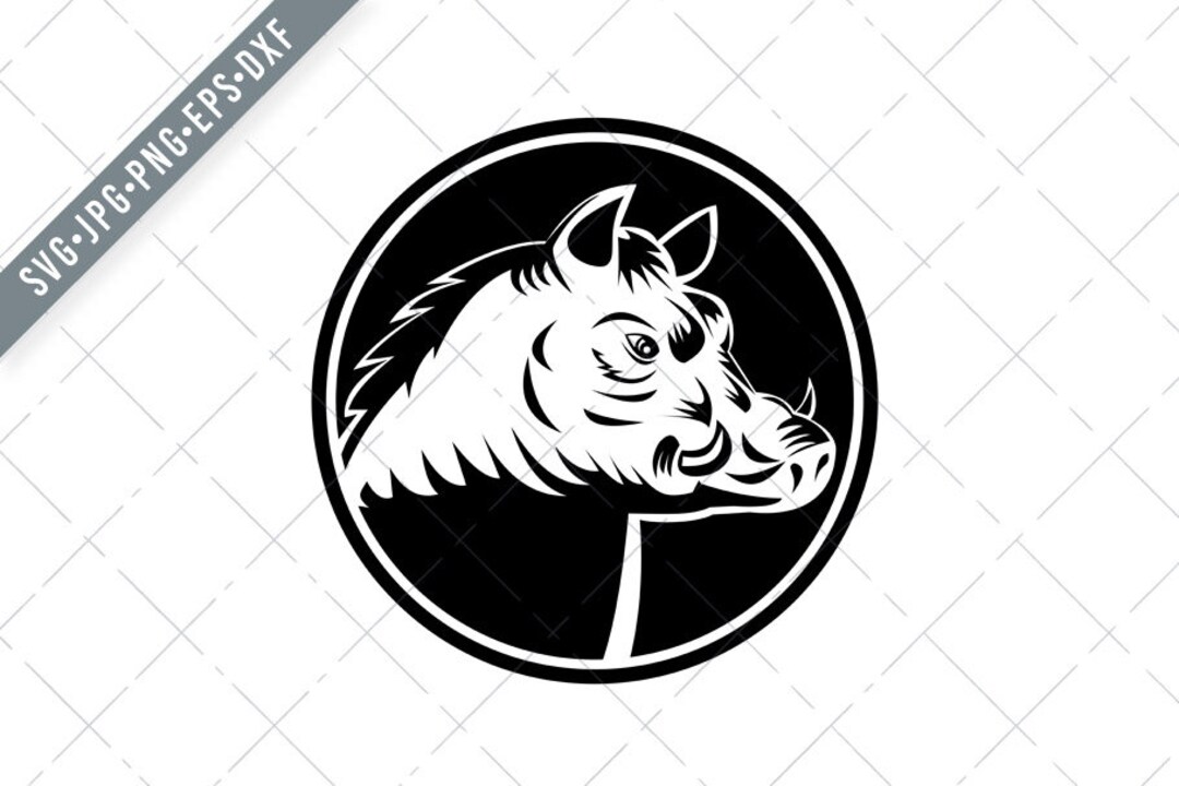 Razorback Wild Hog Feral Pig Head Woodcut Black and White Circle Svg ...