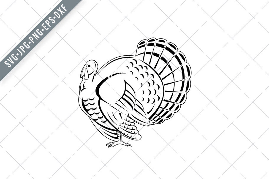 Wild Turkey a Large Bird in the Genus Meleagris Iewed From Side Retro ...