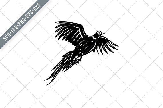 Fasan Fliegen Zeichnung Fasan Im Flug Spiel Vogel Waldlandschaft