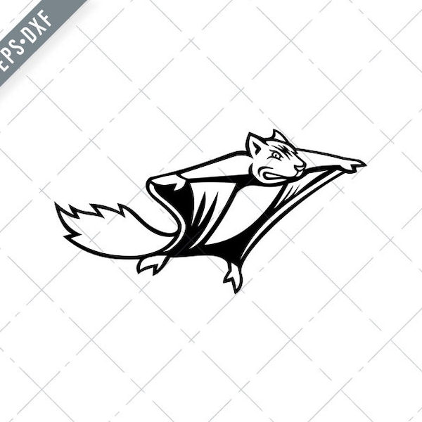 Flying Squirrel - Etsy