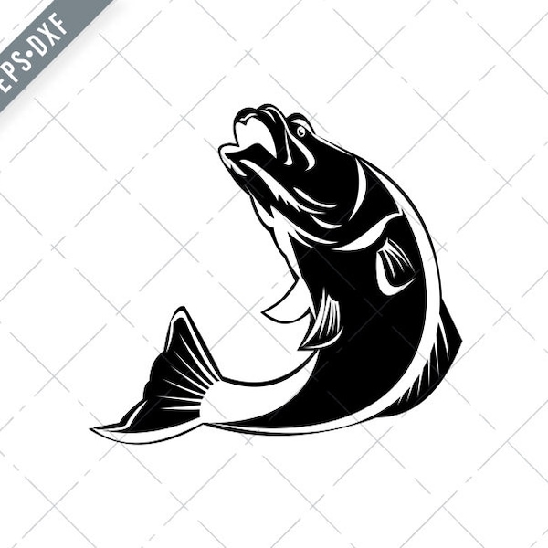 Barramundi Svg - Etsy Australia