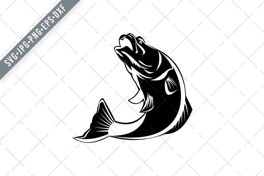 Barramundi Fish Jumping up Isolated Black and White Retro Svg ...