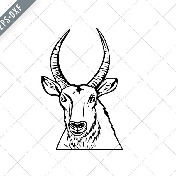Waterbuck - Etsy