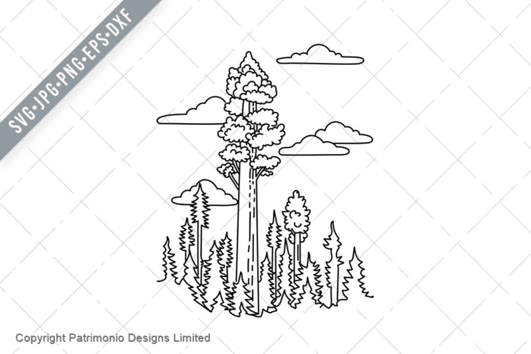 General Sherman Tree Sequoia National Park California Monoline Line Art ...