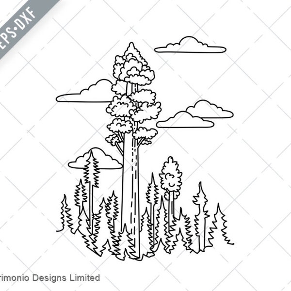 Pine Tree Svg - Etsy