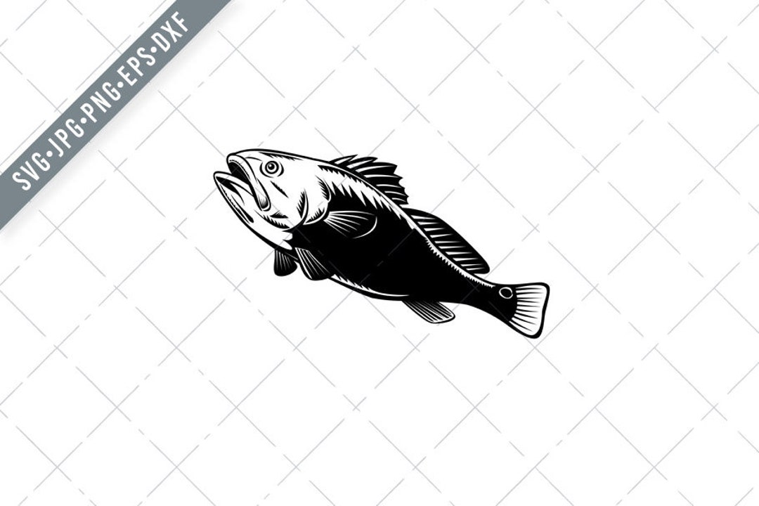 Red Drum Spottail Bass Redfish Channel Bass or Puppy Drum Jumping ...