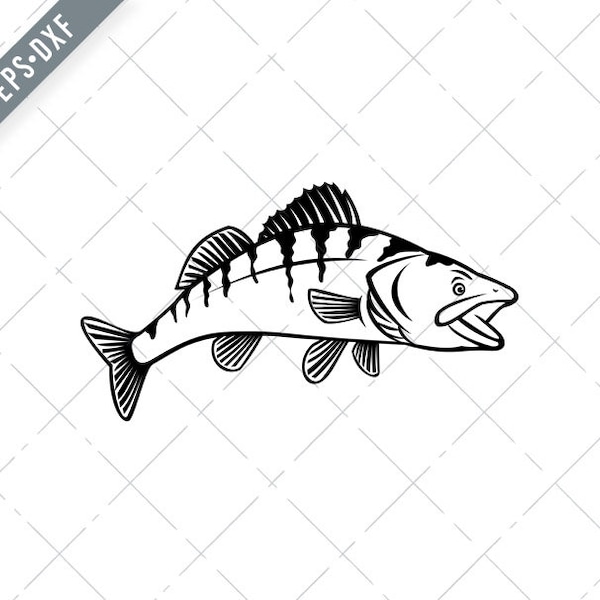 Zander Svg - Etsy UK