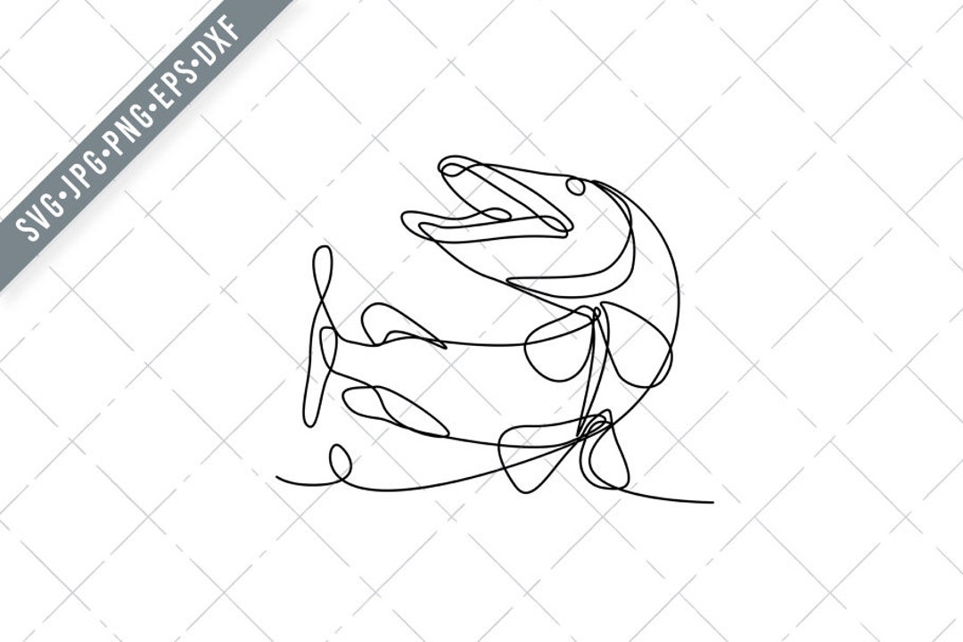 Muskellunge Muskie Musky Esox Masquinongy or Lunge Jumping up ...