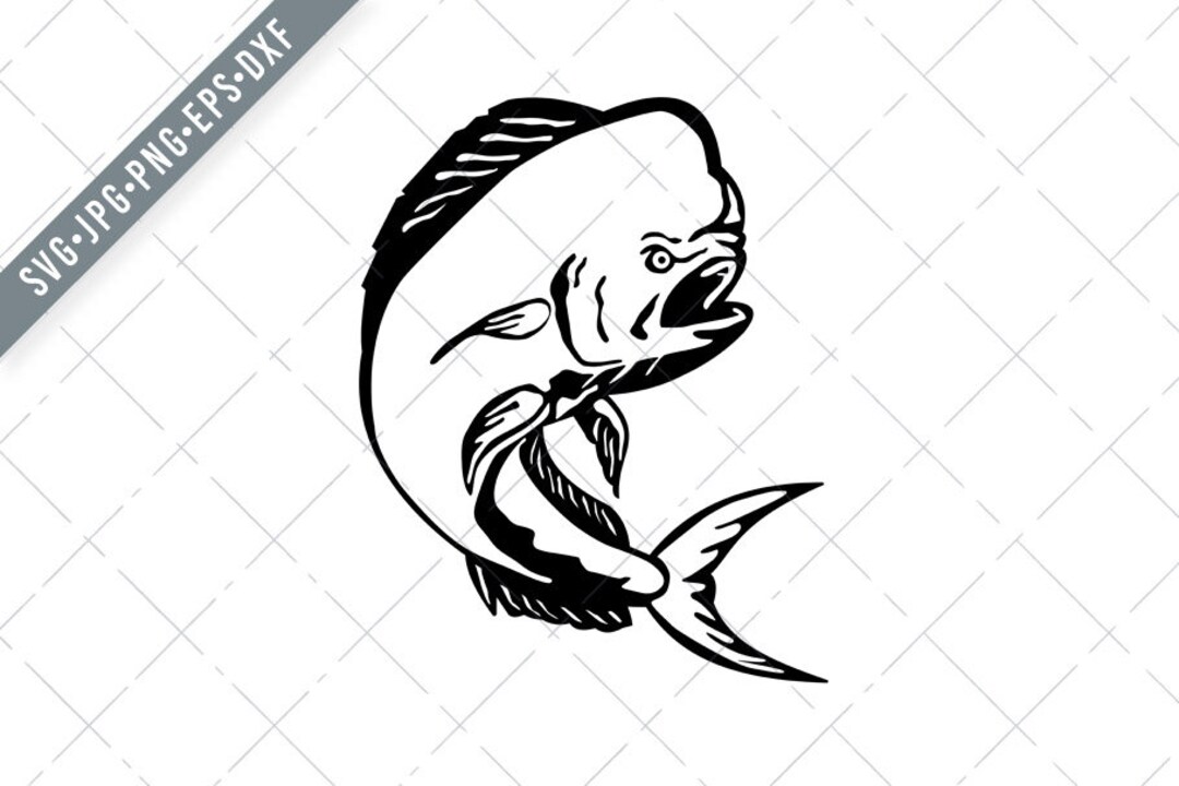 Angry Mahi-mahi Dorado Dolphinfish Jumping Etching Black and White Svg ...