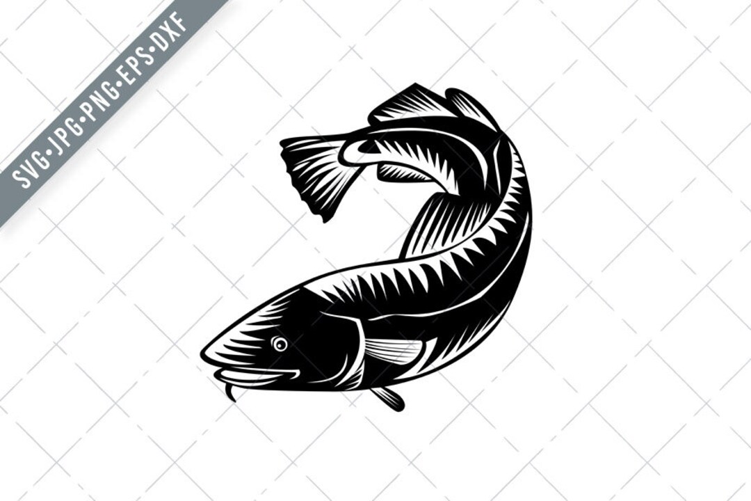 Atlantic Cod Gadus Morhua or Codling Side View Woodcut Style Black and ...
