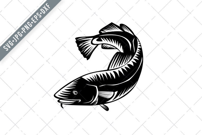 Atlantic Cod Gadus Morhua or Codling Side View Woodcut Style Black and ...