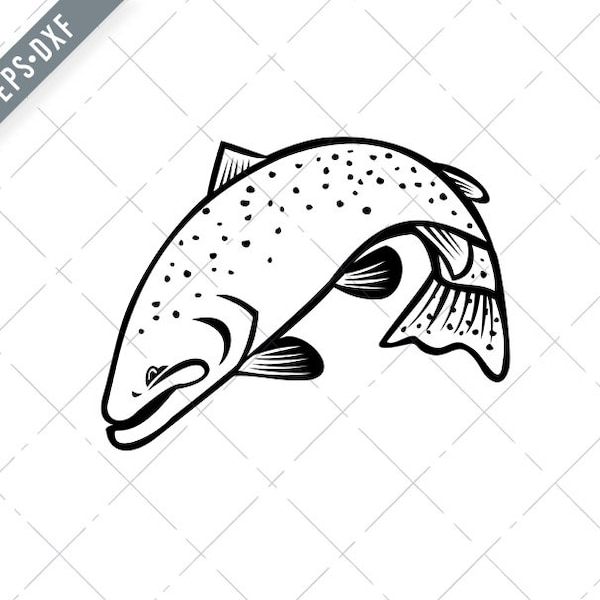 Jumping Steelhead Art - Etsy