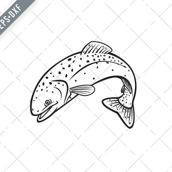 Steelhead Png - Etsy UK