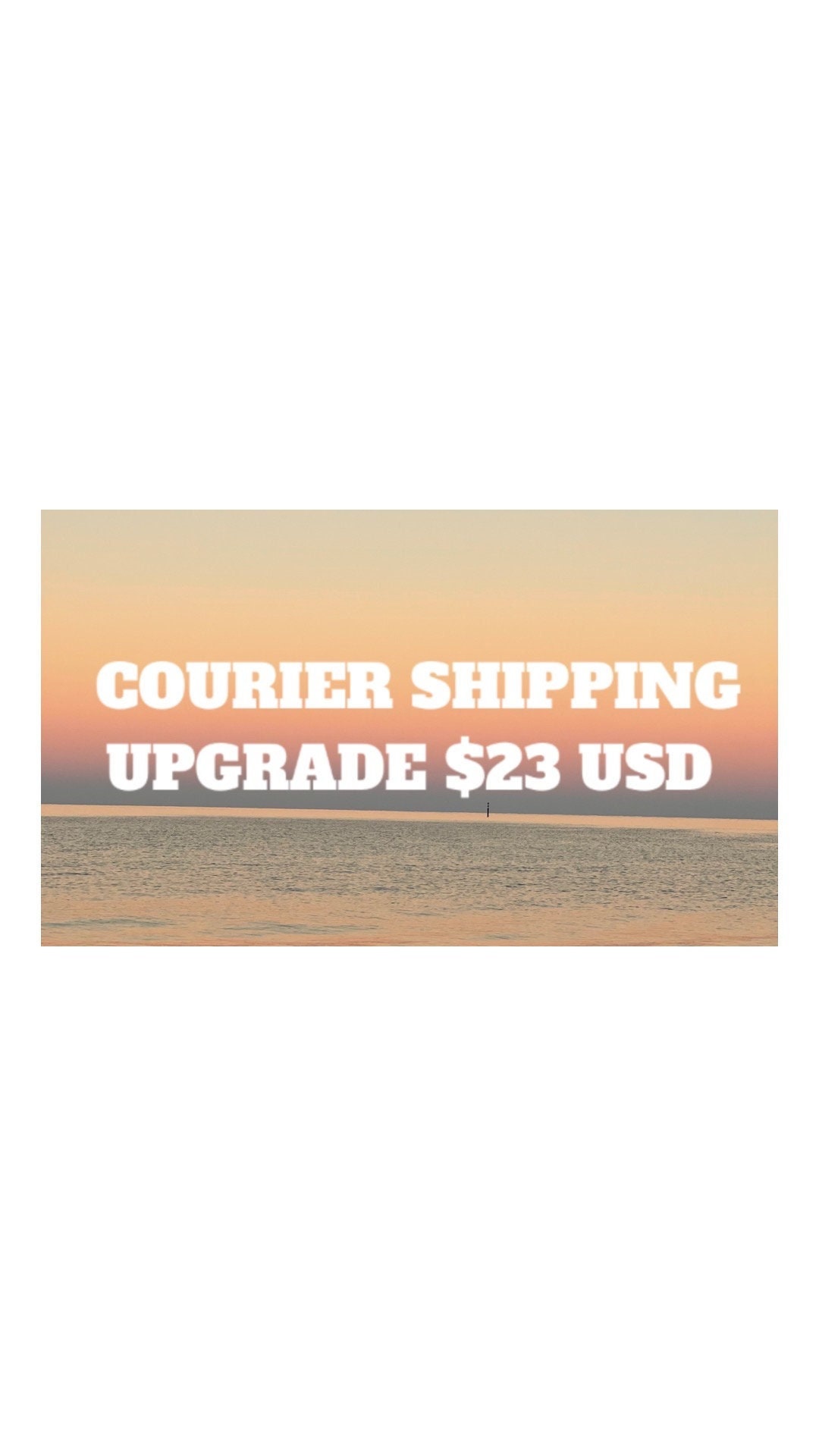 Courier Shipping Upgrade - Etsy