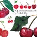 Cherry Clip Art With Hand Painted Watercolor Cherries, Delicious Fruit ...