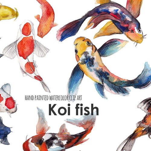 Koi Fish Clip Art Hand Painted Watercolor Clip Art - Etsy