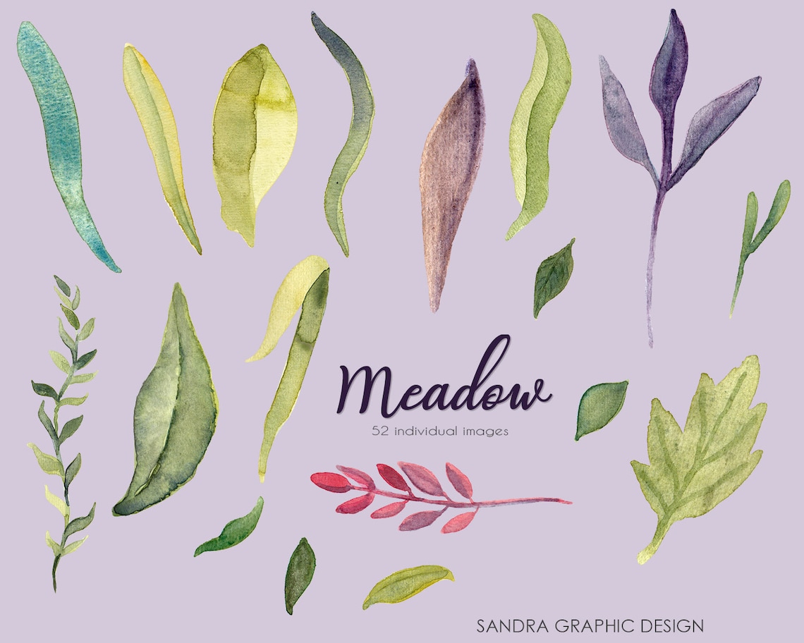 Meadow clip art floral clip art hand painted watercolor clip | Etsy