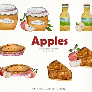 Clipart: "apples" Hand Painted Watercolor Apples, Autumn Themed, 43 ...