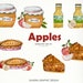 Clipart: "apples" Hand Painted Watercolor Apples, Autumn Themed, 43 ...