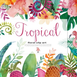 Tropical Flowers Clip Art, Hand Painted Floral Watercolor Clip Art ...