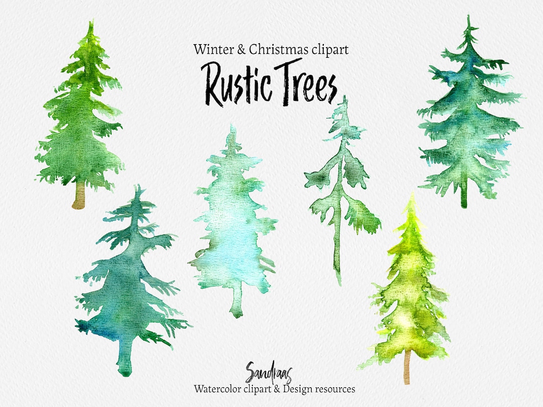Christmas Clip Art: "rustic Trees" Hand Painted Watercolor Trees, 6 ...