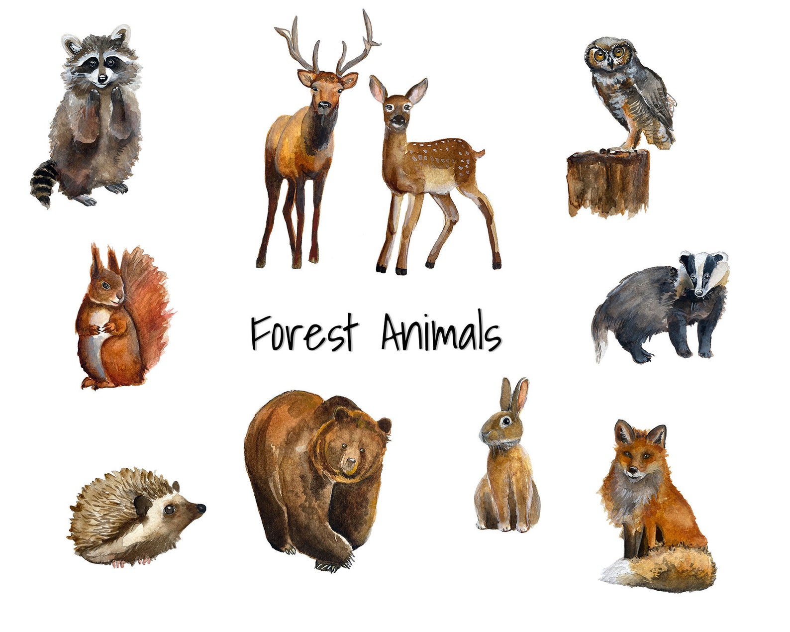 Clipart: "forest Animals" Hand Painted Watercolor Fall Images, 27 ...