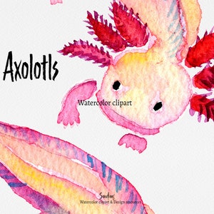Clip Art: "axolotl", With High Quality, Hand Painted Watercolor Assets ...