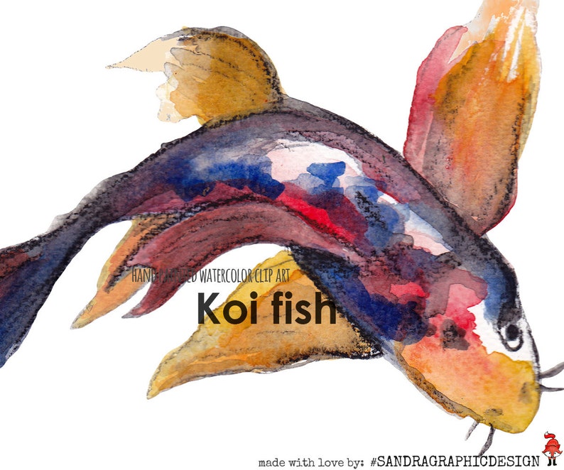Koi Fish Clip Art, Hand Painted Watercolor Clip Art - Etsy