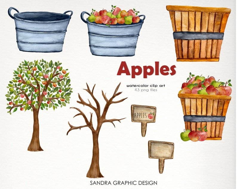 Clipart: apples Hand Painted Watercolor Apples - Etsy Canada