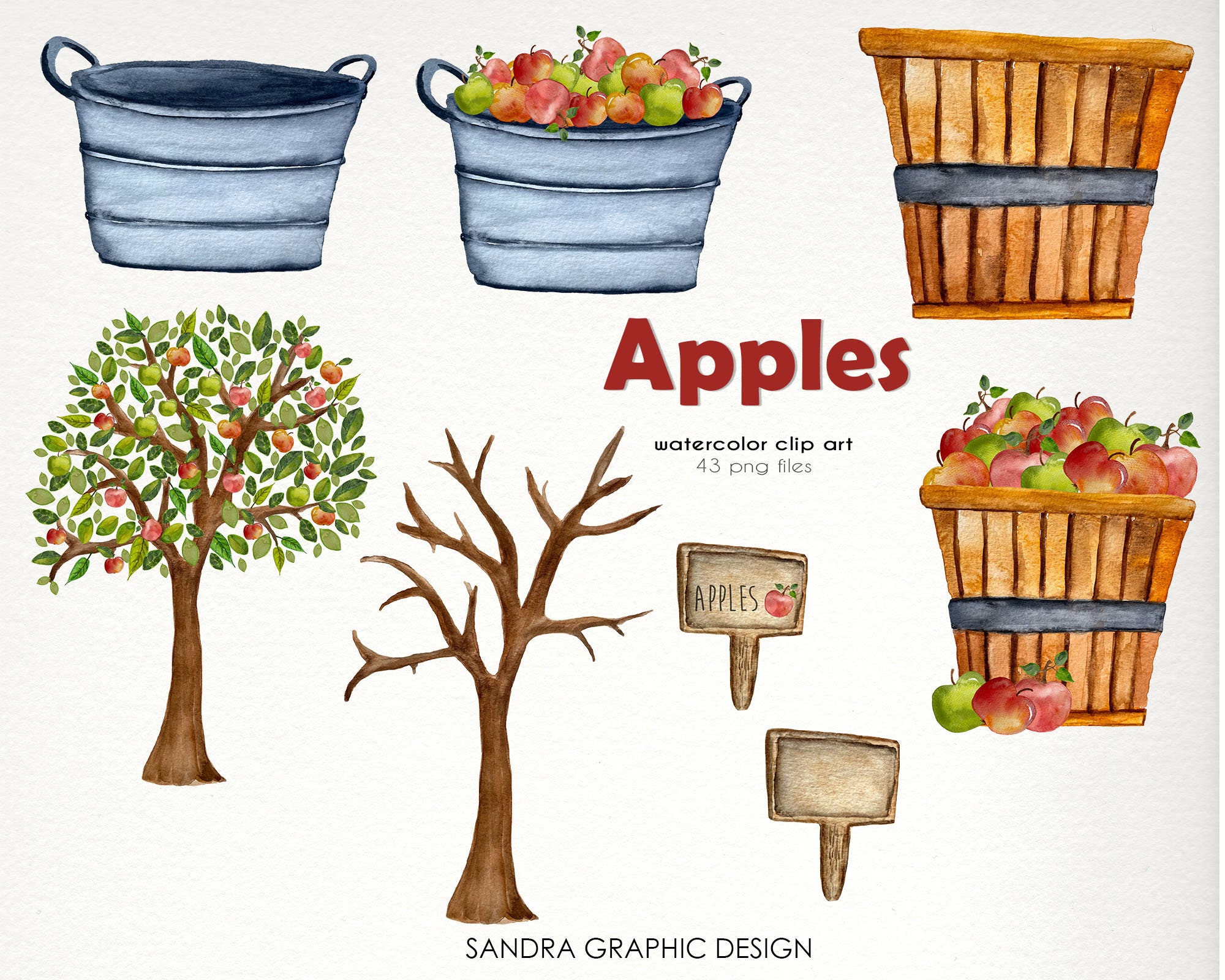 Clipart: "apples" Hand Painted Watercolor Apples, Autumn Themed, 43 ...