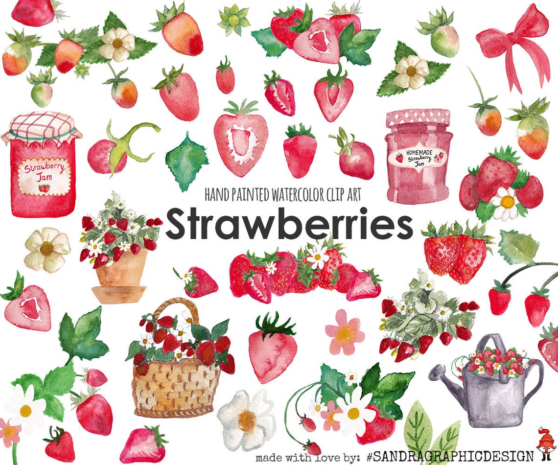Strawberry Clip Art, Hand Painted Watercolor Clip Art, Digital Flowers ...