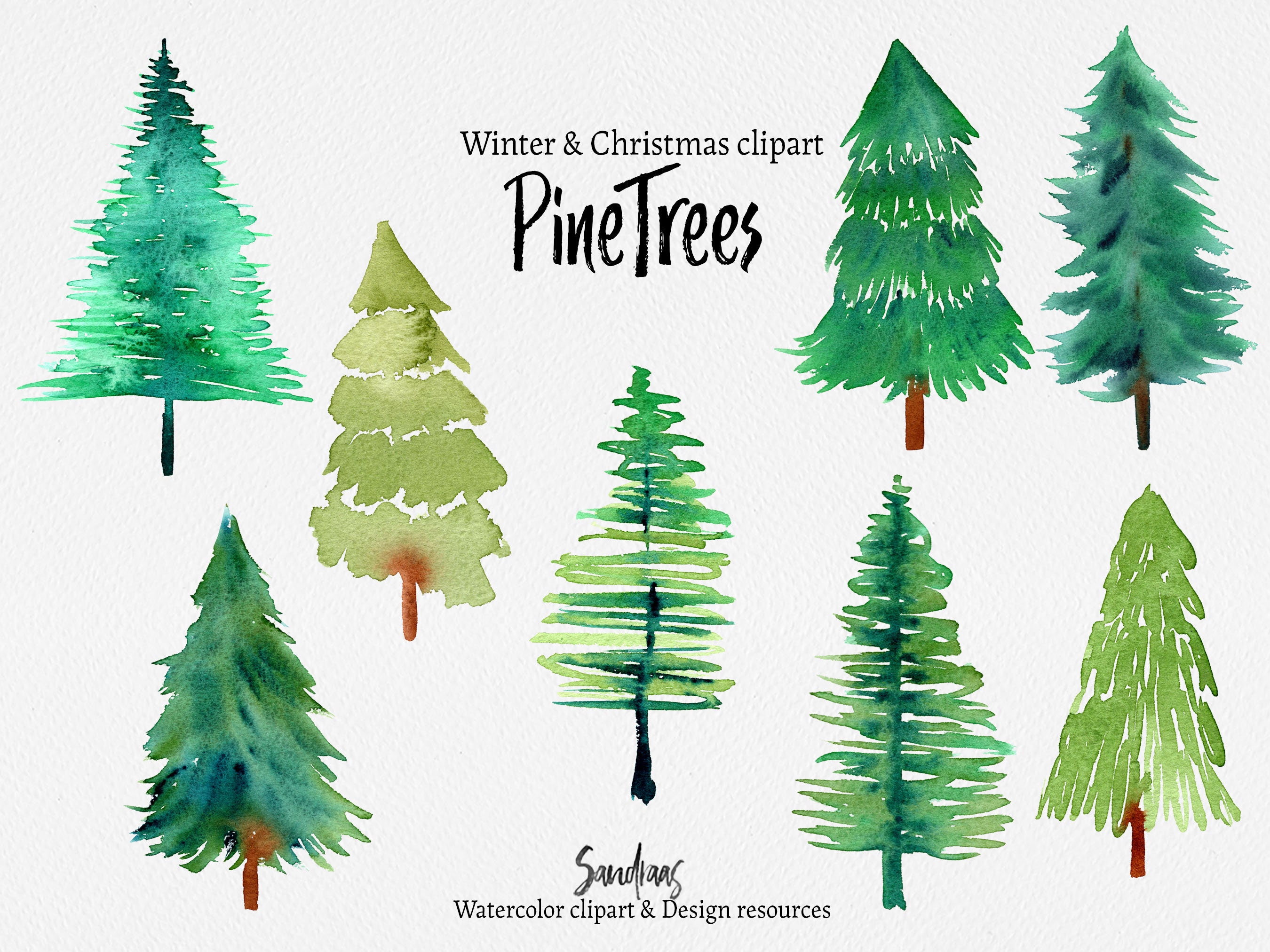 Christmas Clip Art: pine Trees Hand Painted Watercolor Trees, 8 Clipart ...