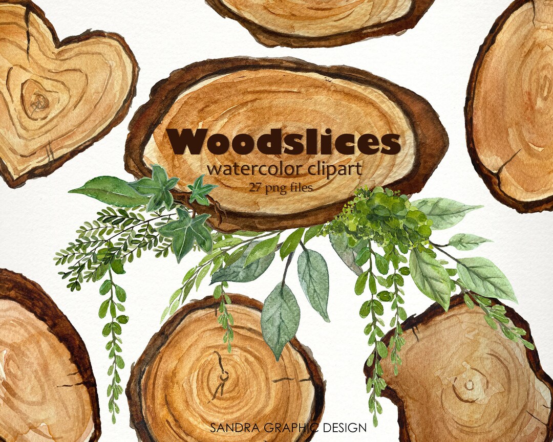 Watercolor Woodslices Clipart- Handpainted Clip Art - Tree Slices ...