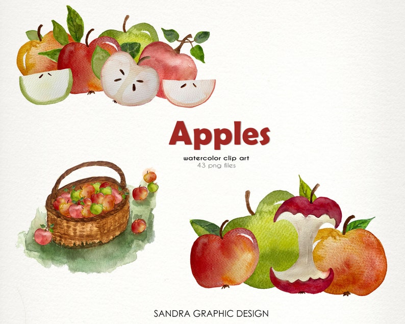 Clipart: "apples" Hand Painted Watercolor Apples, Autumn Themed, 43 ...