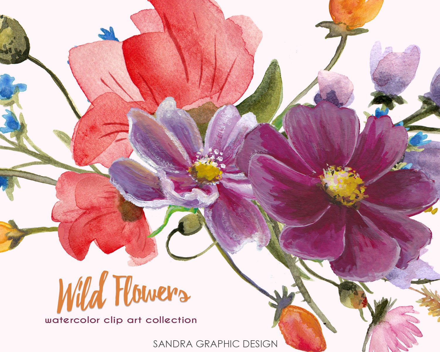 Wild Flowers Clip Art Hand Painted Watercolor Clip Art - Etsy