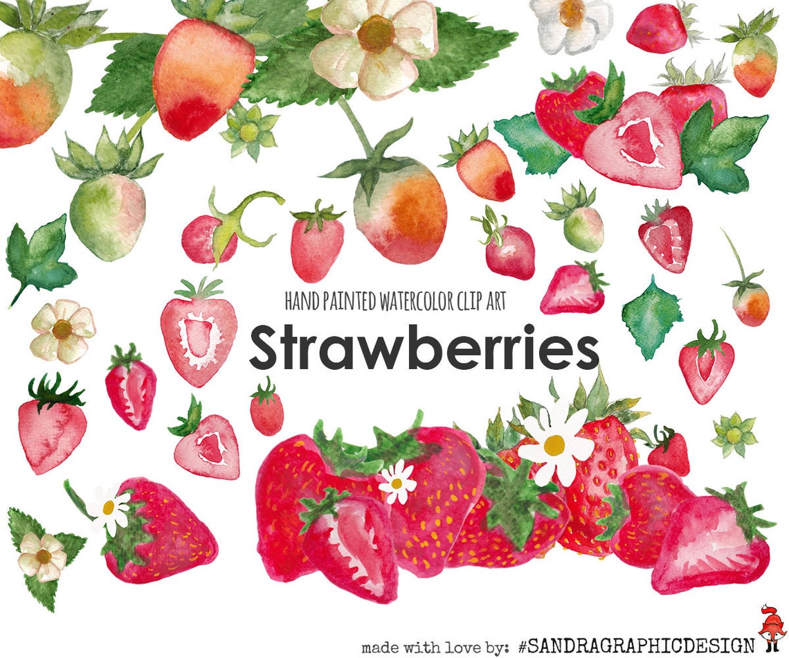 Strawberry Clip Art, Hand Painted Watercolor Clip Art, Digital Flowers ...