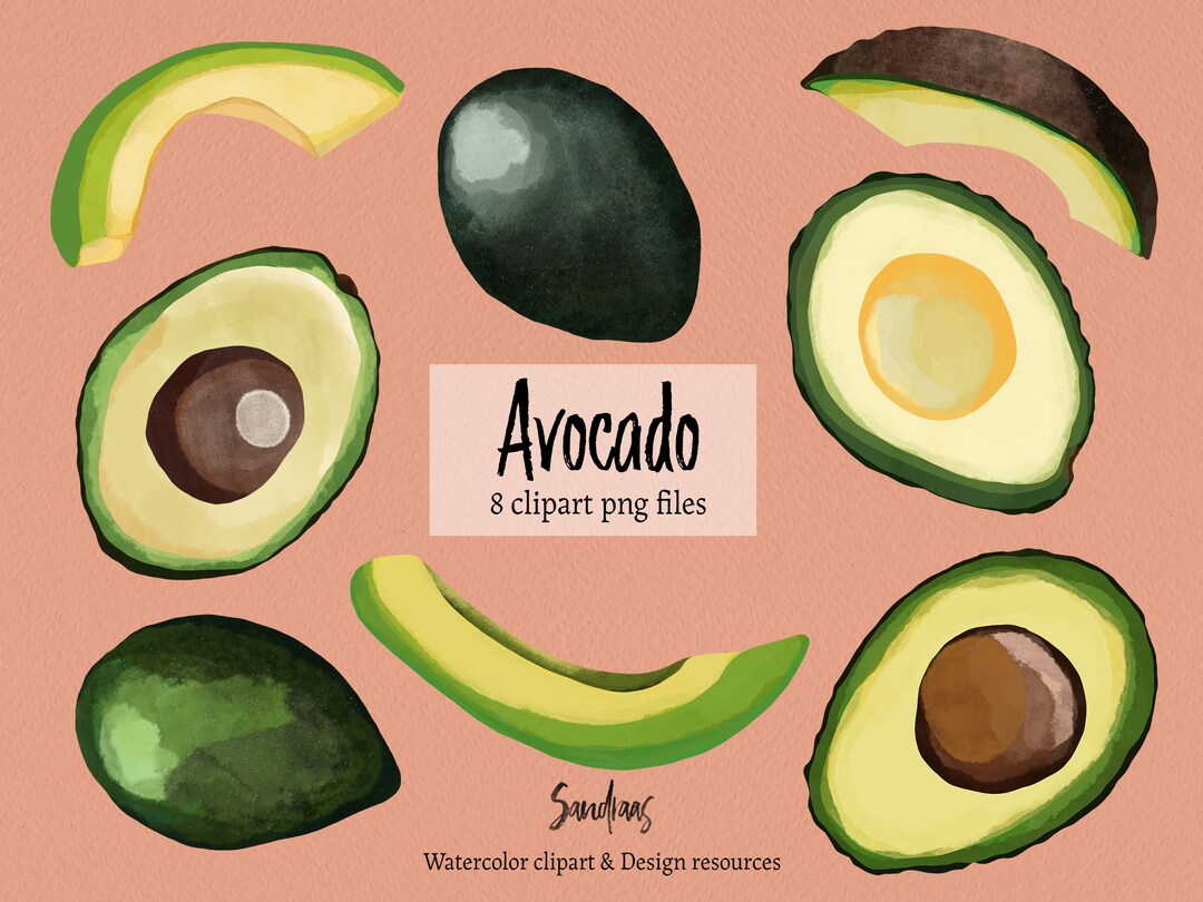 Avocado Clip Art With Procreate Painted Clip Art Images for Card Making ...