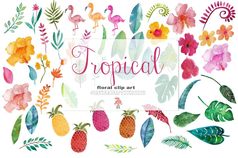 Tropical Flowers Clip Art, Hand Painted Floral Watercolor Clip Art ...