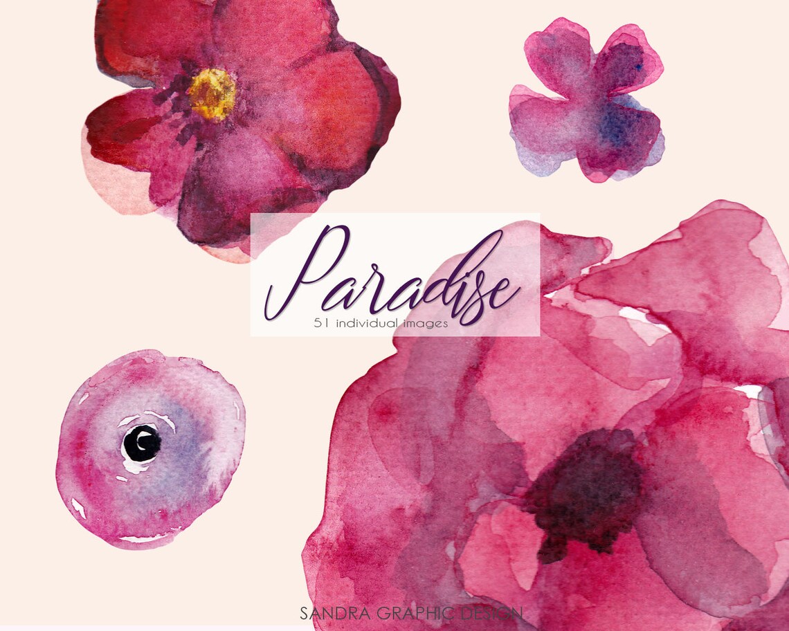 Floral Clip Art Hand Painted Watercolor Clip Art Digital | Etsy