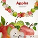 Clipart: "apples" Hand Painted Watercolor Apples, Autumn Themed, 43 ...