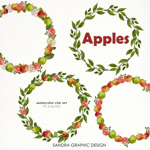 Clipart: "apples" Hand Painted Watercolor Apples, Autumn Themed, 43 ...