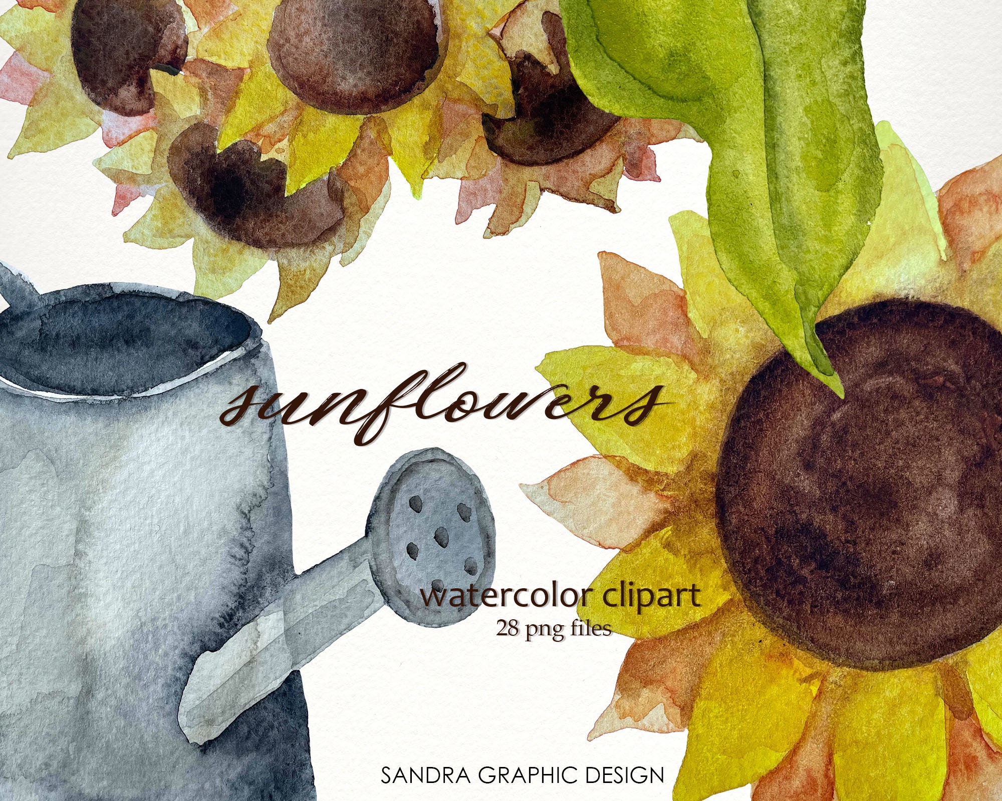 Clipart: "sunflowers" Hand Painted Watercolor Sun Flowers, Summer Fall ...