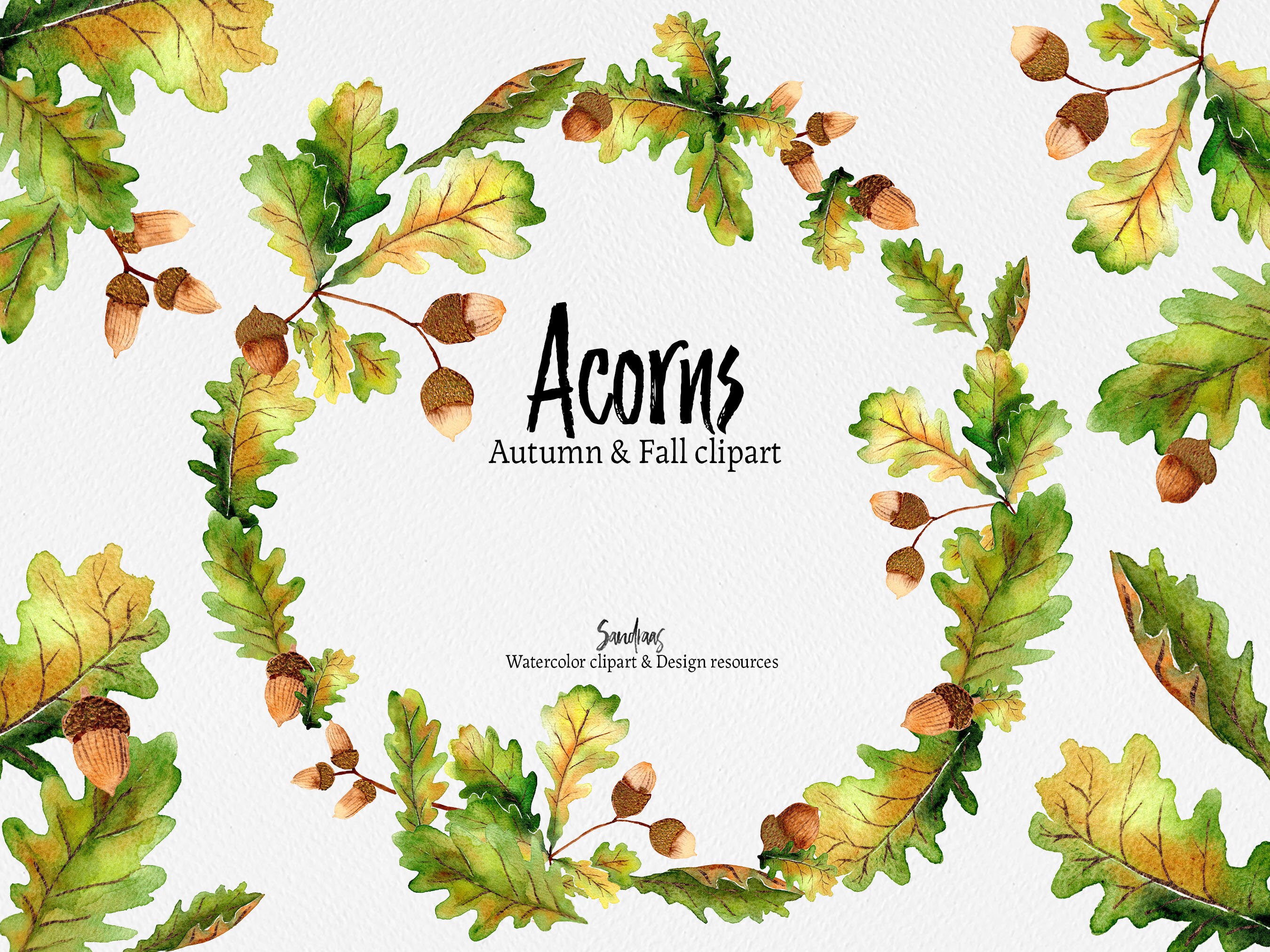 Autumn Clip Art: acorns Hand Painted Watercolor - Etsy